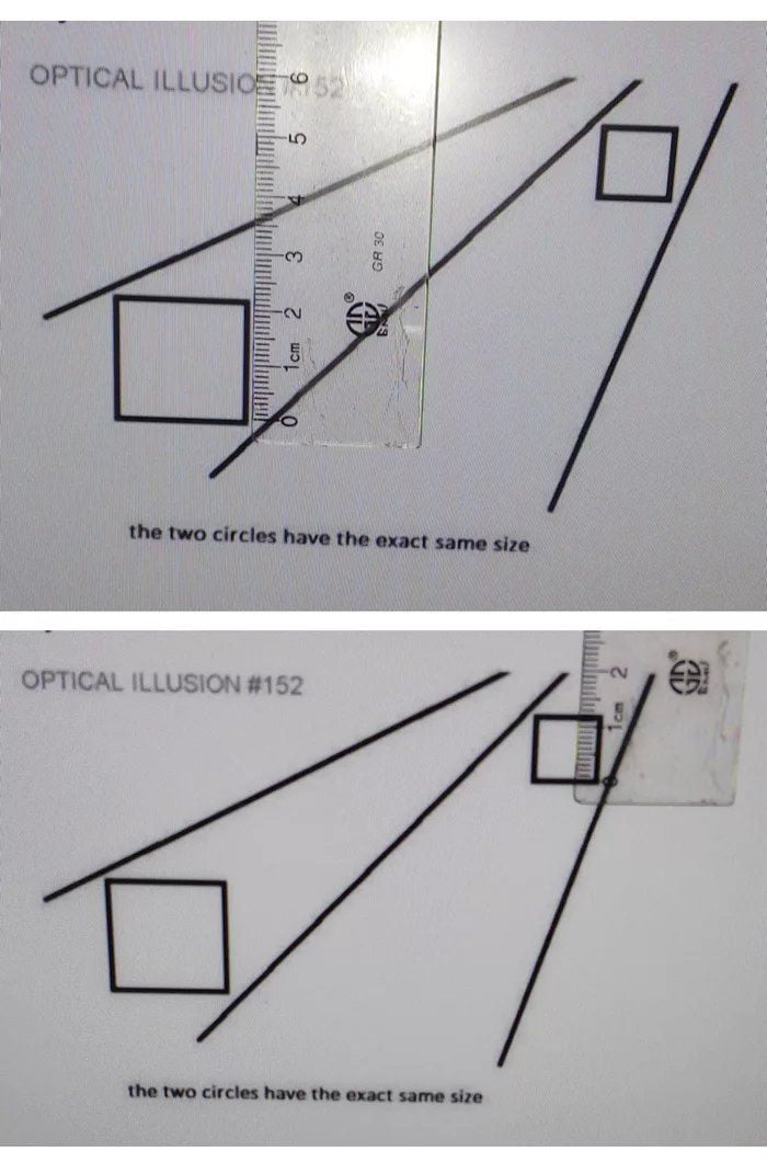 The real optical illusion is that the circles actually look like squares - 9GAG