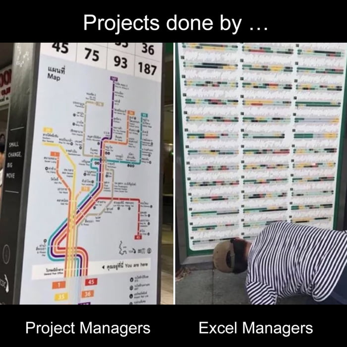 Projects done by Projects vs. Excel Managers - 9GAG