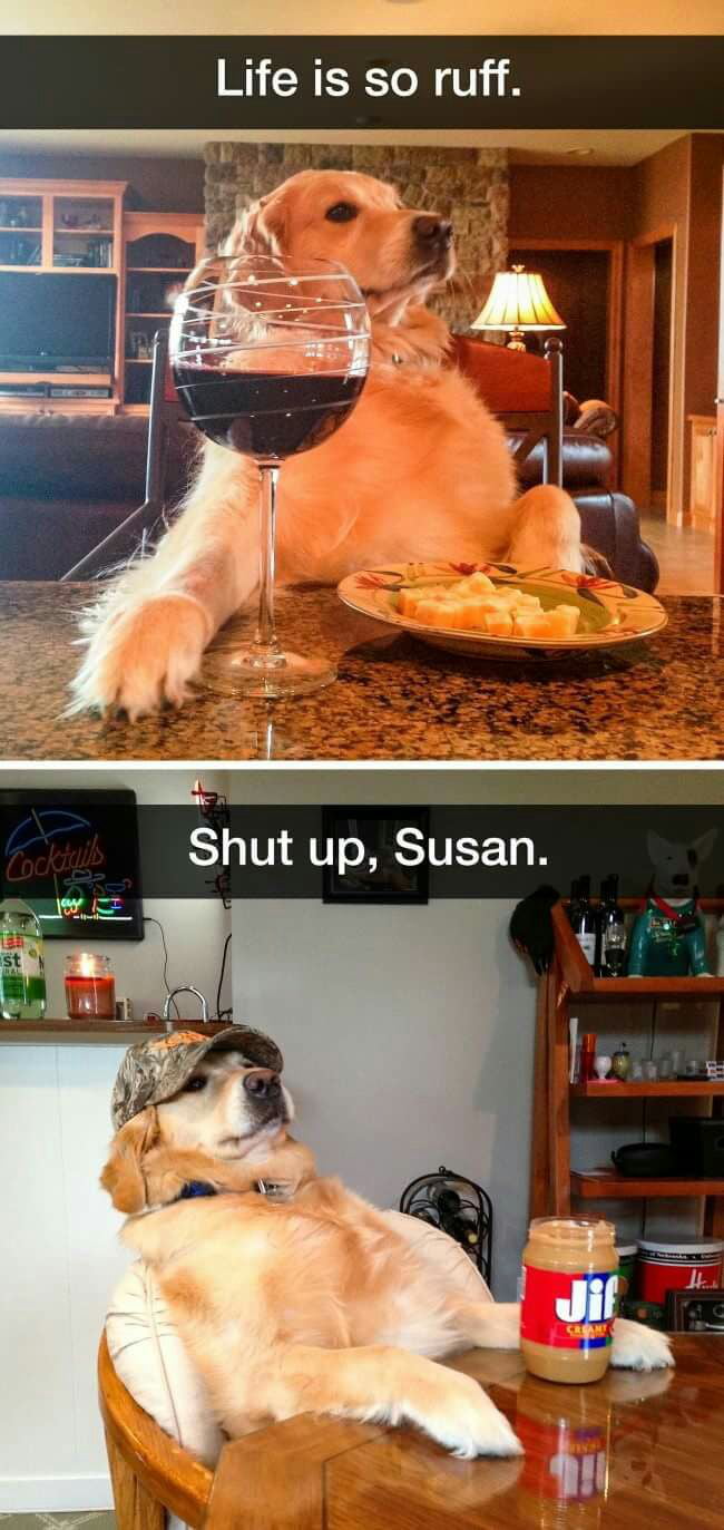 Life is so ruff - 9GAG