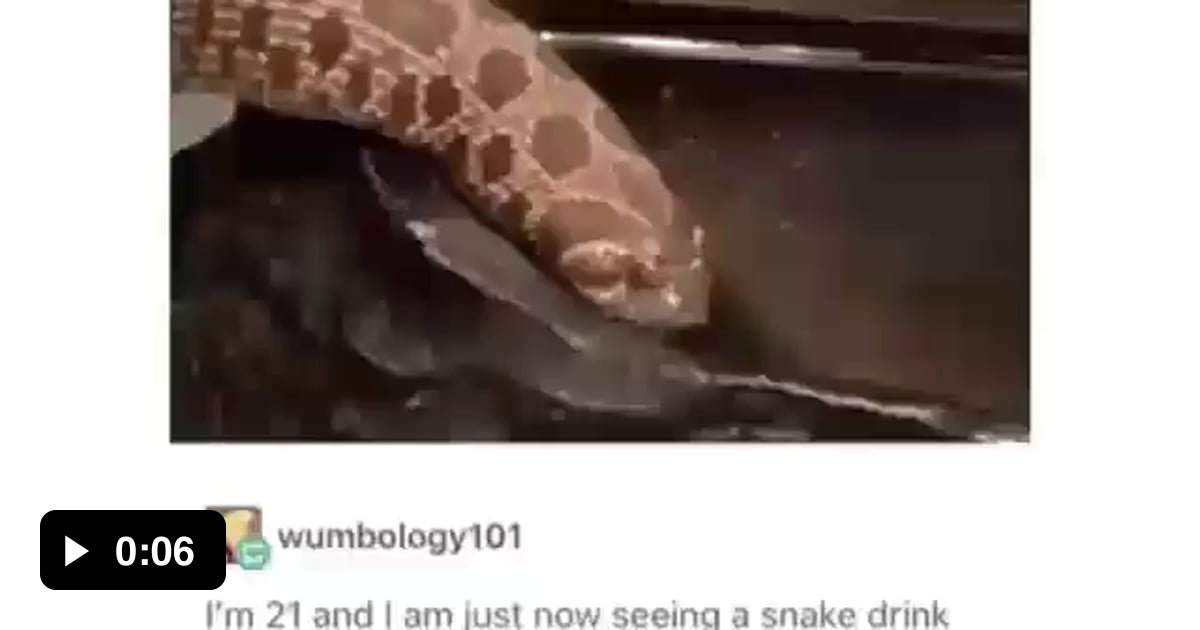 Cute snek - 9GAG