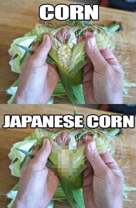 Japanese corn - 9GAG