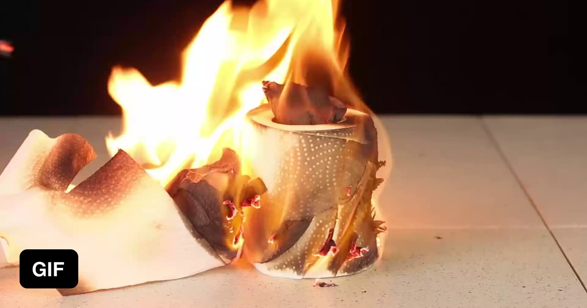 Burning a roll of toilet paper - 9GAG