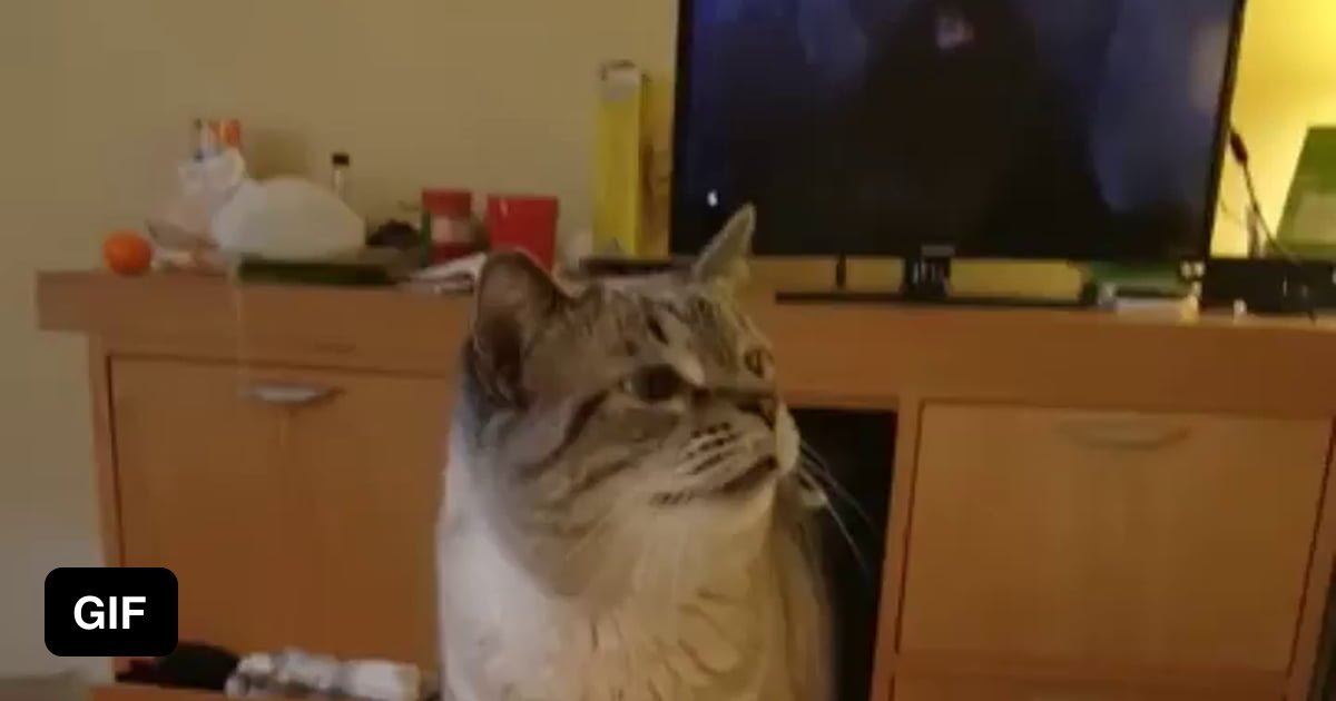 Glorious achoo! - 9GAG