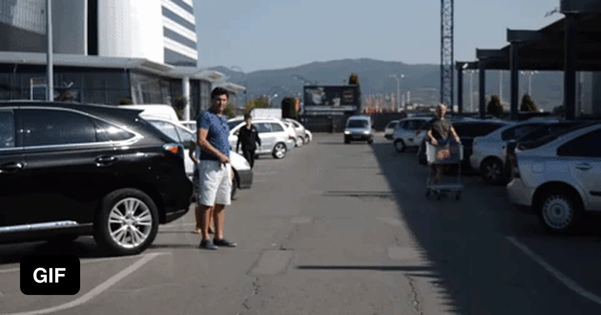 The Fluttering Horde Goes To The Supermarket - 9GAG