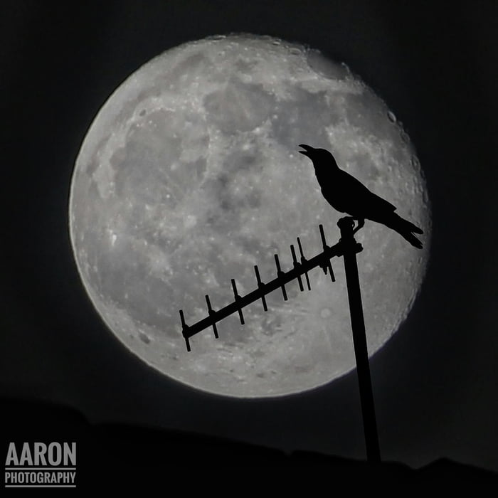 "Double Exposed" The Moon Camera : Canon EOS 700D Focal length : 250.00 ...