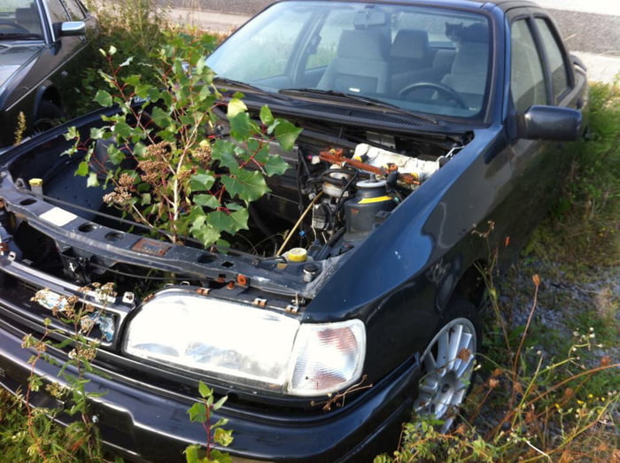 Talking bout an eco-friendly car!! Cate approves - 9GAG