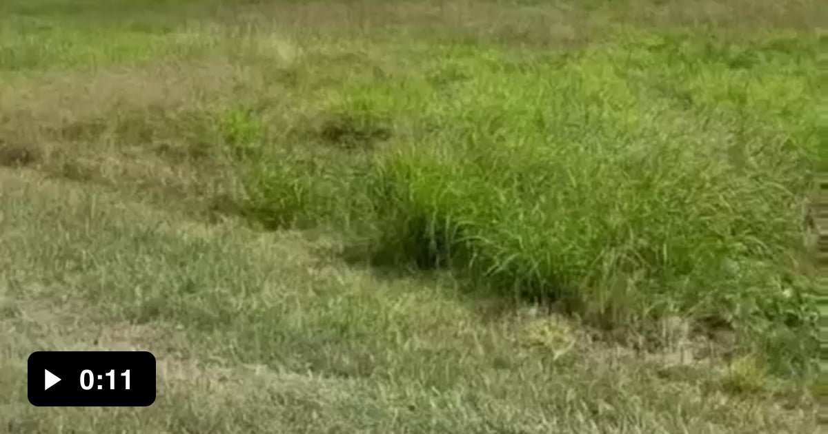 Crop Duster landing - 9GAG