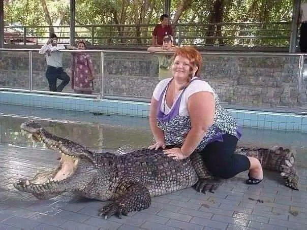 Gator crying for help - 9GAG