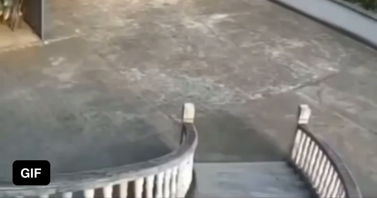 Gate-Crasher! - 9GAG