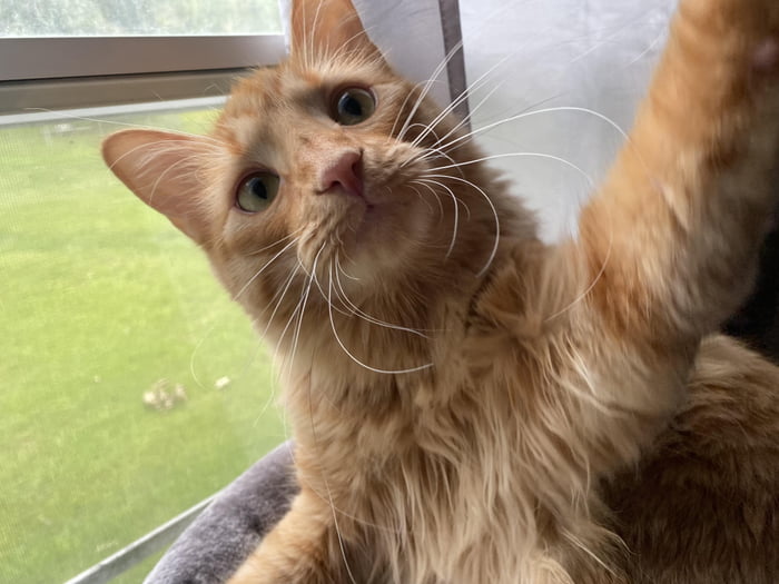 Hug incoming! - 9GAG