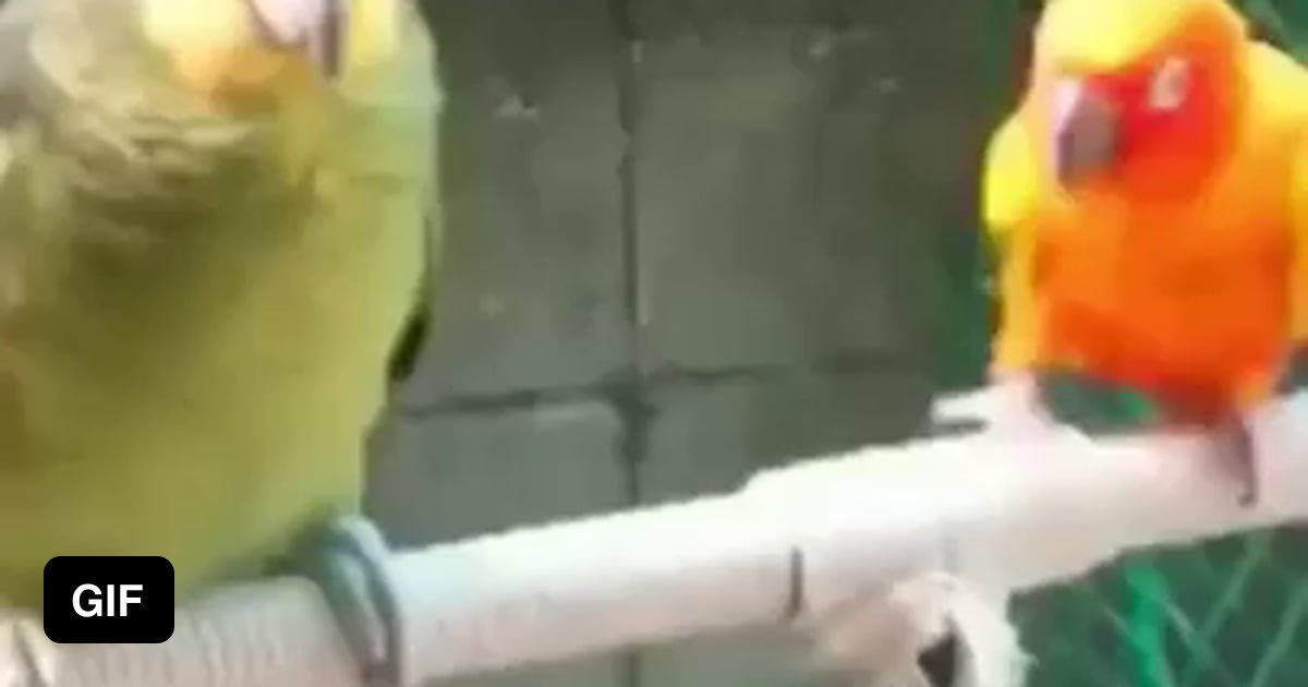 Hi What Doing 9gag