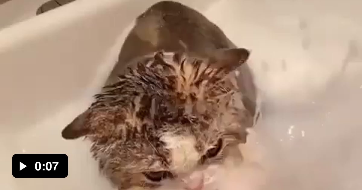 It is a bath time - 9GAG