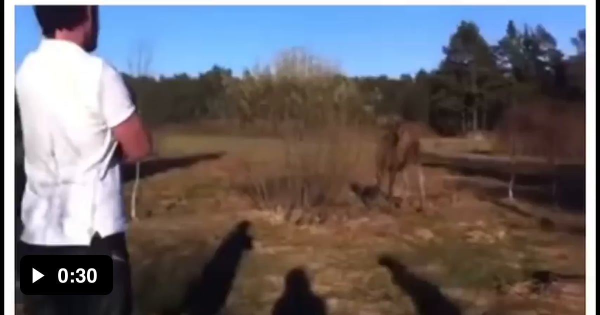 And that Ladies and Gents is how the Cavemen survived. - 9GAG