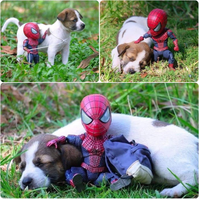 Artist used new puppy and poseable action figure to create charming ...