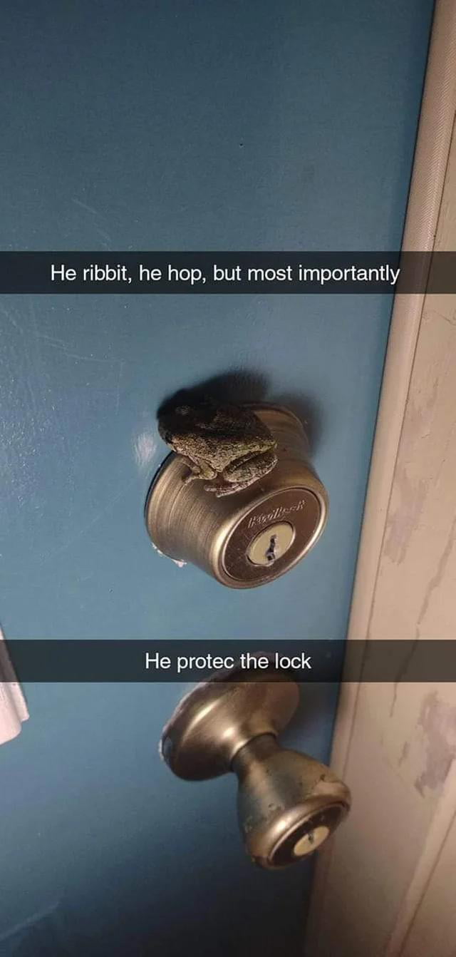 Froggo the Keeper, Protector of the Lock - 9GAG