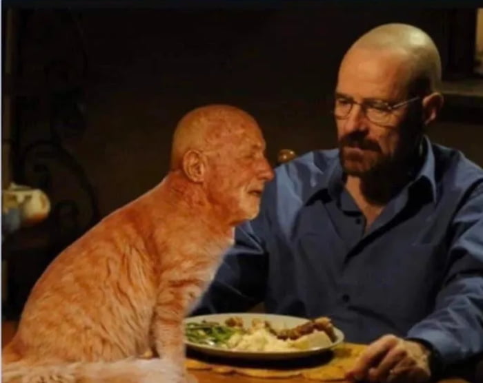 Feed me Waltuh, meow. - 9GAG