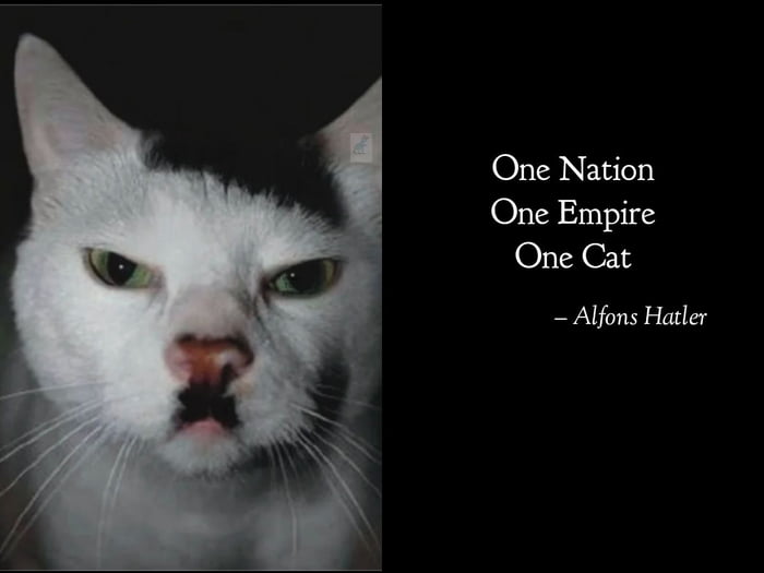 How do you recognize a german cat - 9GAG