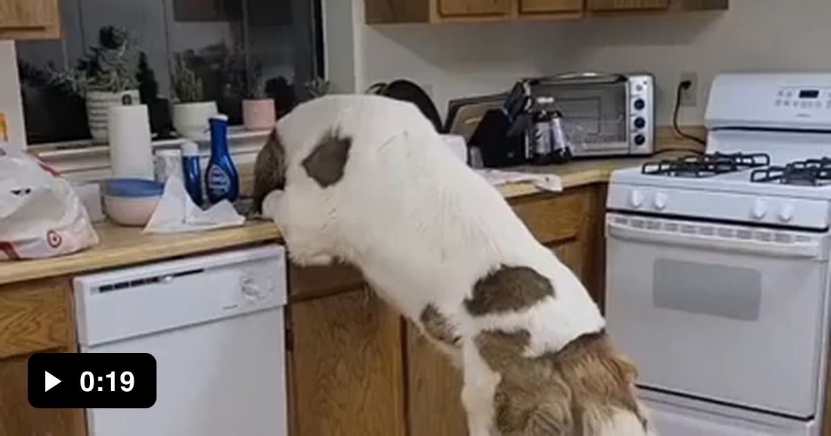 Just trying to help with the dishes... all good here - 9GAG