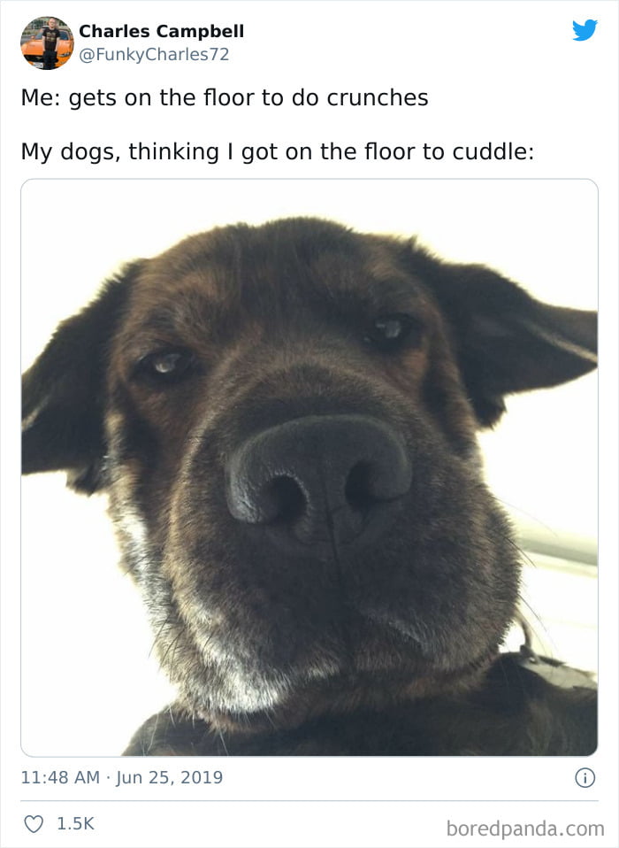 Cuddle 9gag