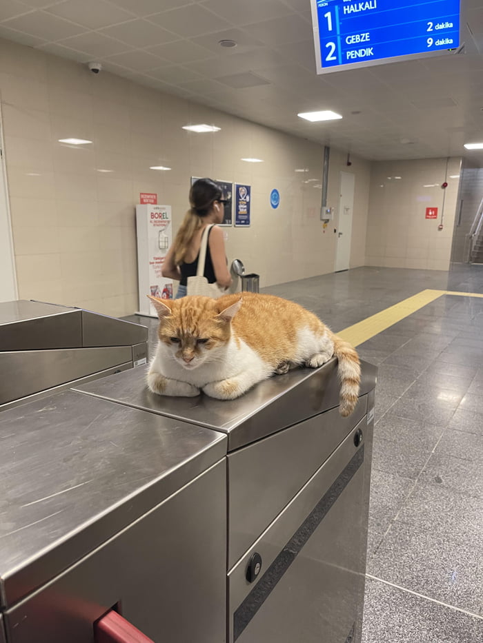 Subway security - 9GAG