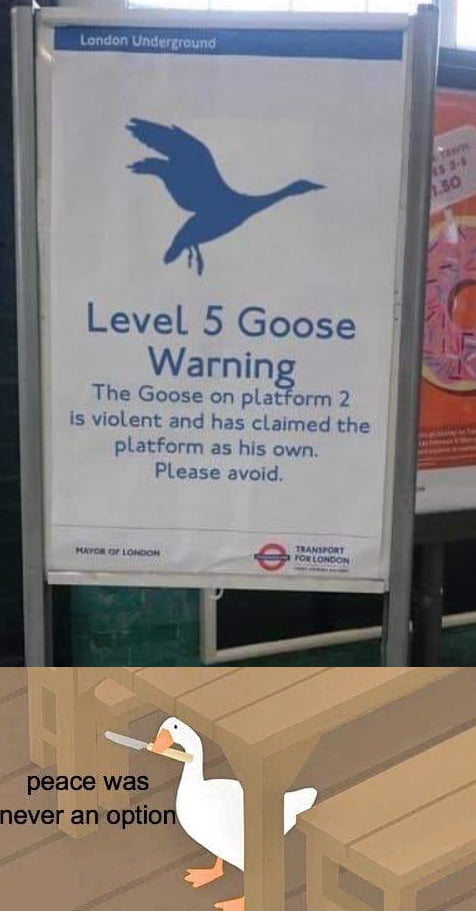 Untitled Goose platform - 9GAG