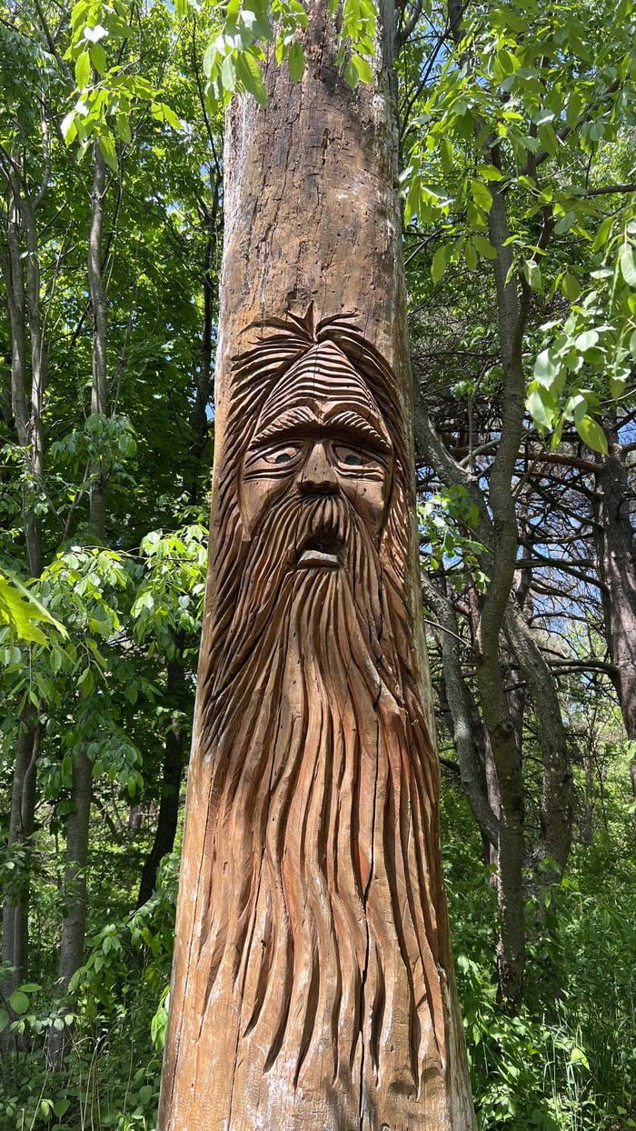 Tree from LOTR - 9GAG