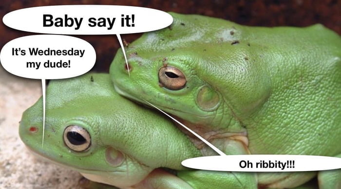 Aaaaaaaaahhhhhh!!! - 9GAG