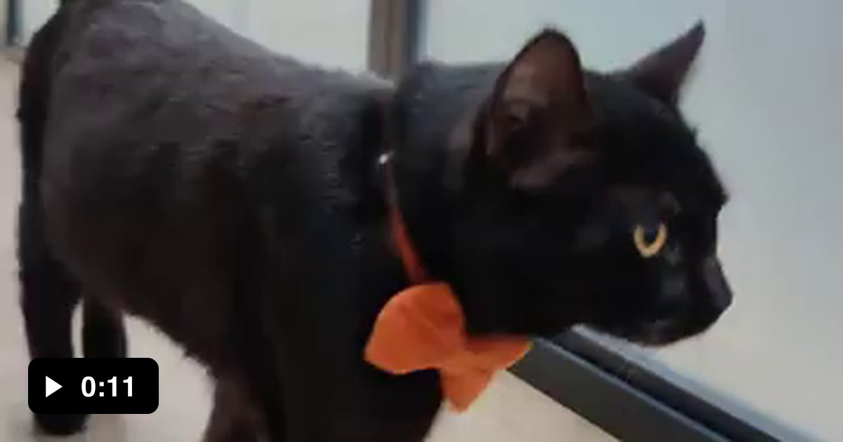 Double cheeked up on a Thursday afternoon - 9GAG