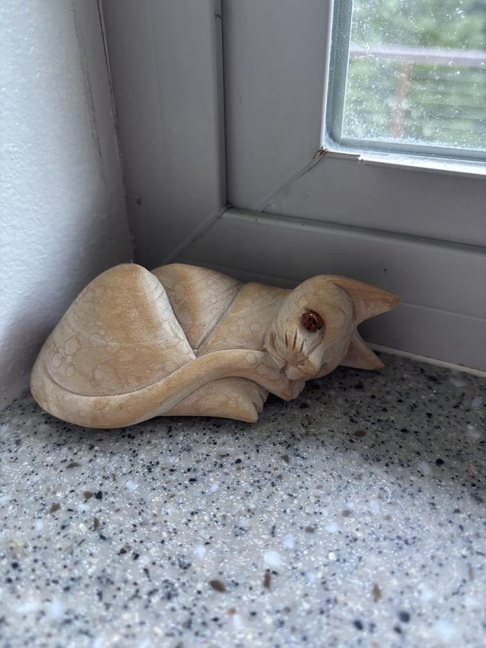 Ladybug or Cat’s Eye??? - 9GAG