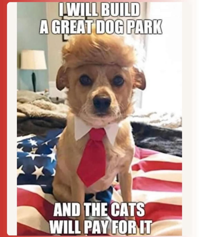 Making the dog park great again! The cats won't know what hit 'em. - 9GAG