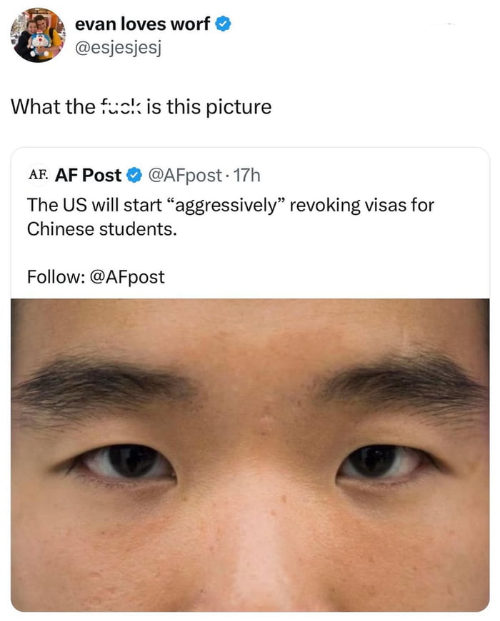 This image-headline combo is peak internet. - 9GAG