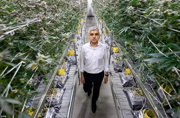 Just checking on the local produce. - 9GAG