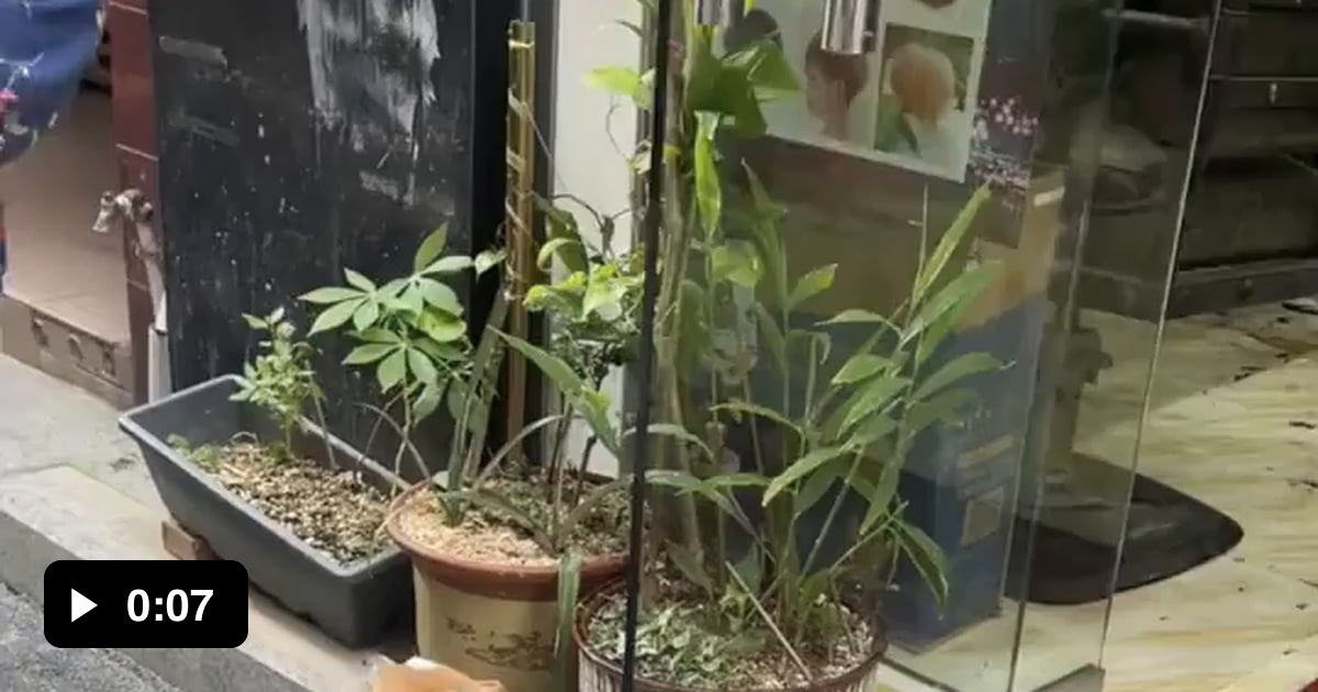 When there’s no one to scratch your back - 9GAG