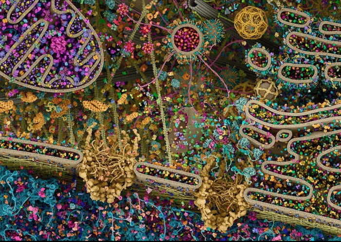 The most detailed view of a human cell - 9GAG
