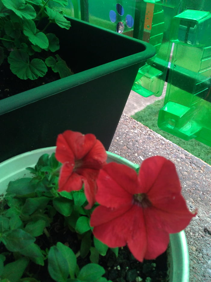 The difference a day makes 2 now - 9GAG