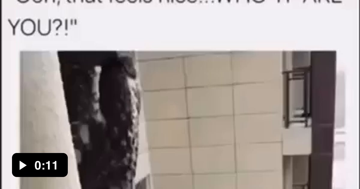 That feels nice...Wait a minute... HoOo Tf aRe yoU? - 9GAG
