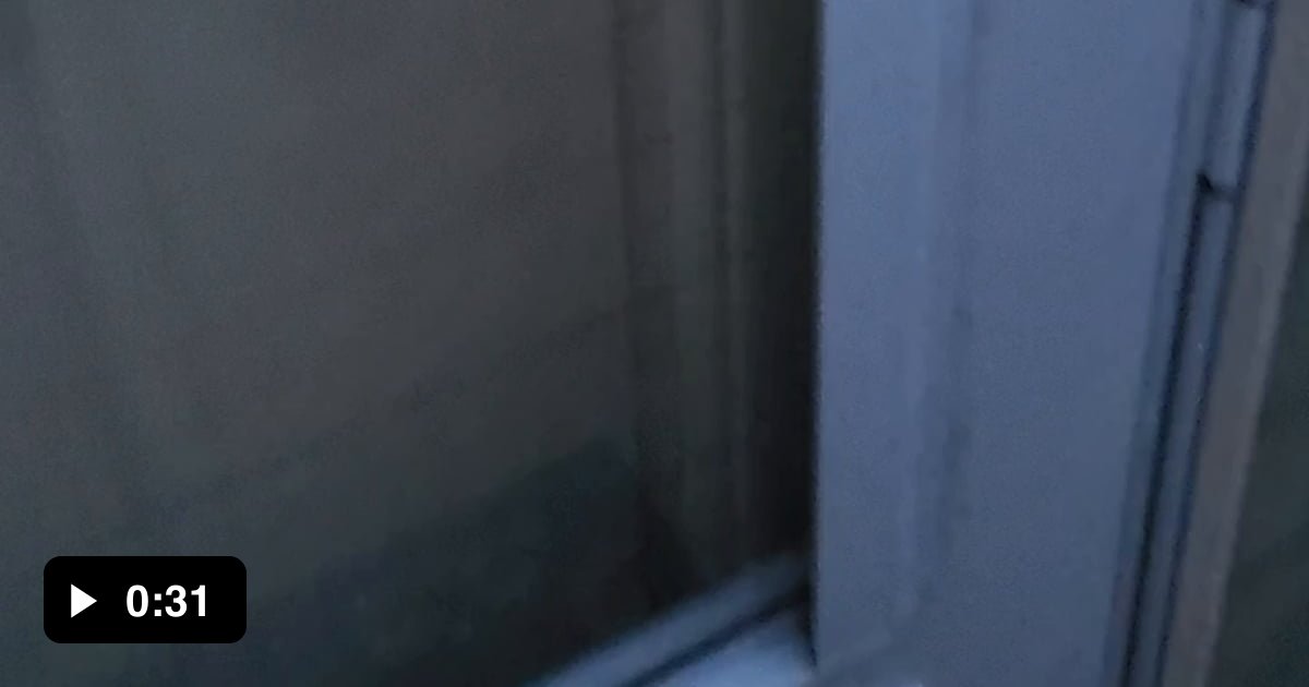 It is Wednesday my dudes. Frog eats firefly - 9GAG