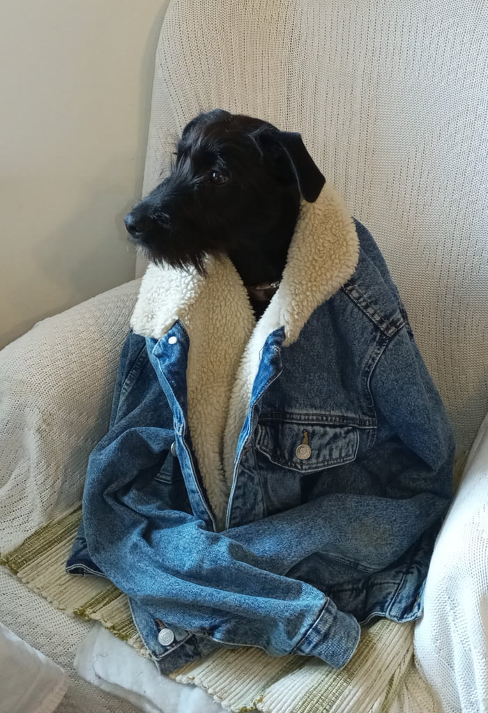 Say hello to Vader, just because - 9GAG