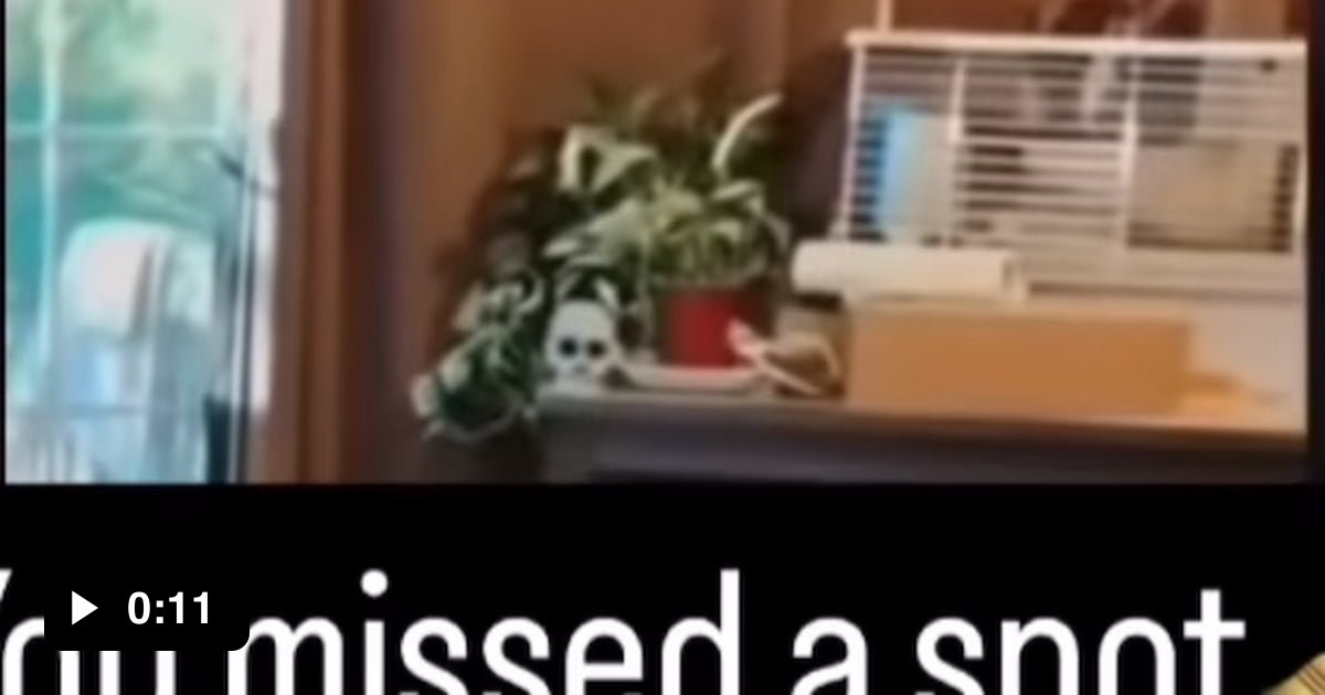 Another f**k around and find out video - 9GAG