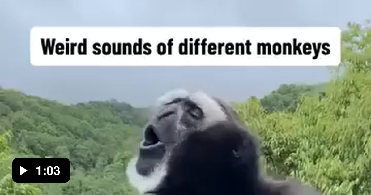 Listen to the incredible and sometimes strange sounds of different ...