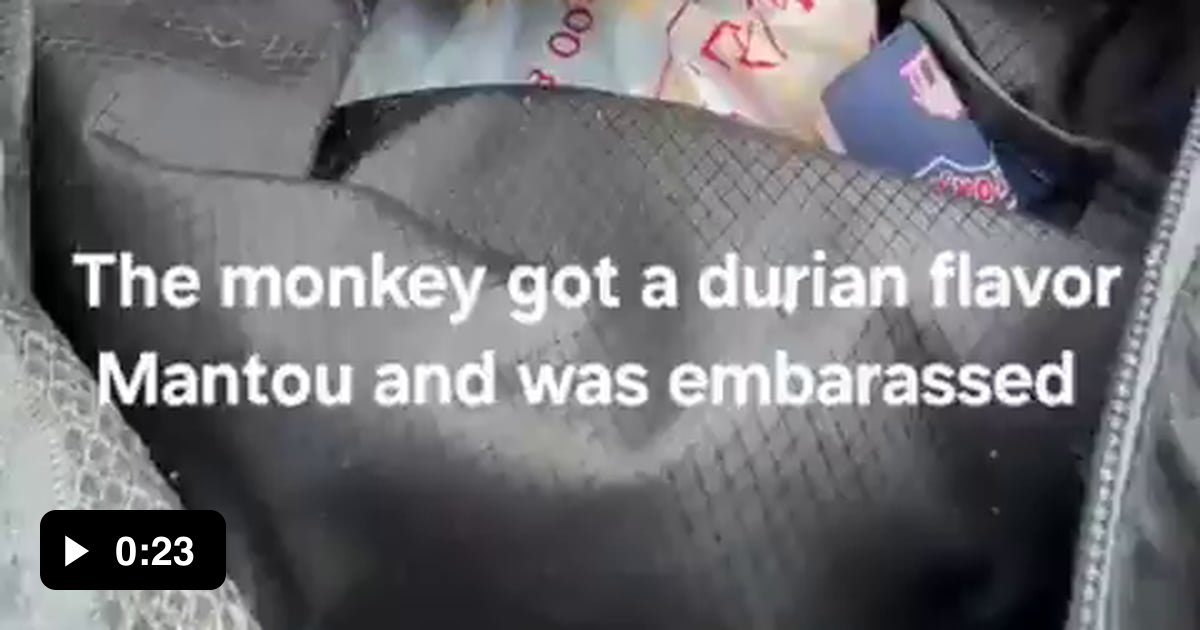 Monkey and Durian odor - 9GAG