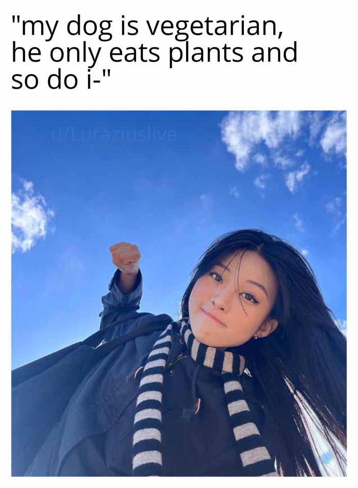 Look at me, making great choices for my dog. - 9GAG