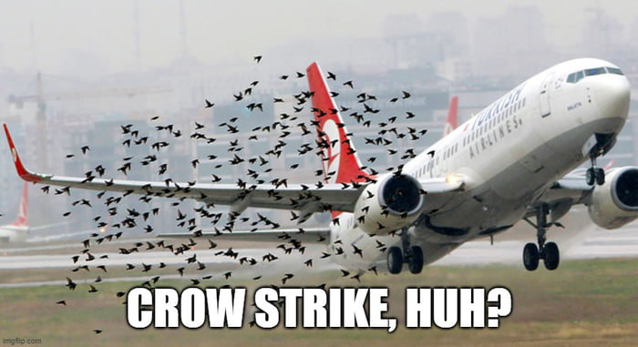 Crow strike, huh? - 9GAG