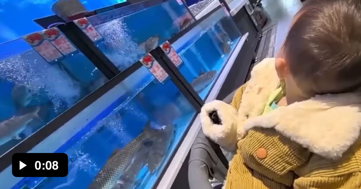 Fish hate kids - 9GAG