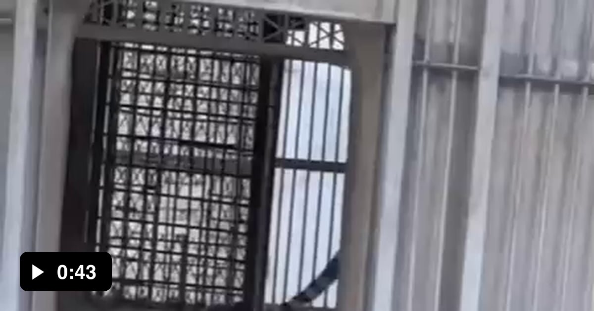 What's wrong little guy? Oh....found your baby... - 9GAG