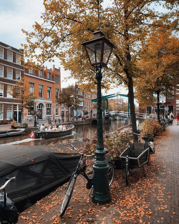Autumn vibes hitting different in Leiden - 9GAG
