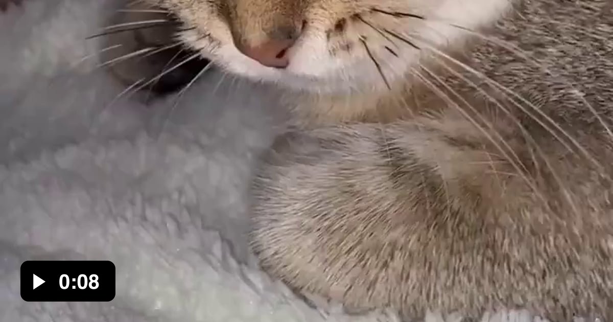 No flipping way!!! - 9GAG