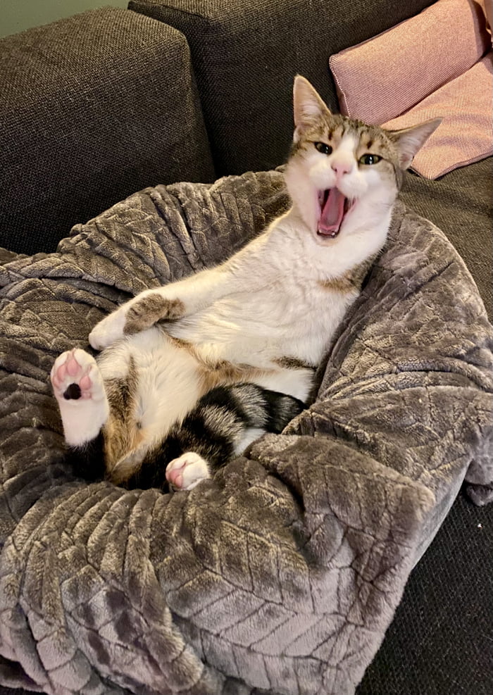 Something is missing … - 9GAG