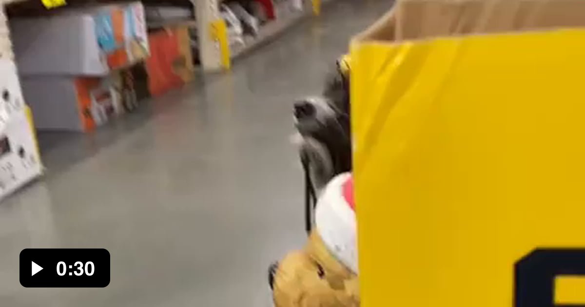 Do You See Me, Daddy? - 9GAG