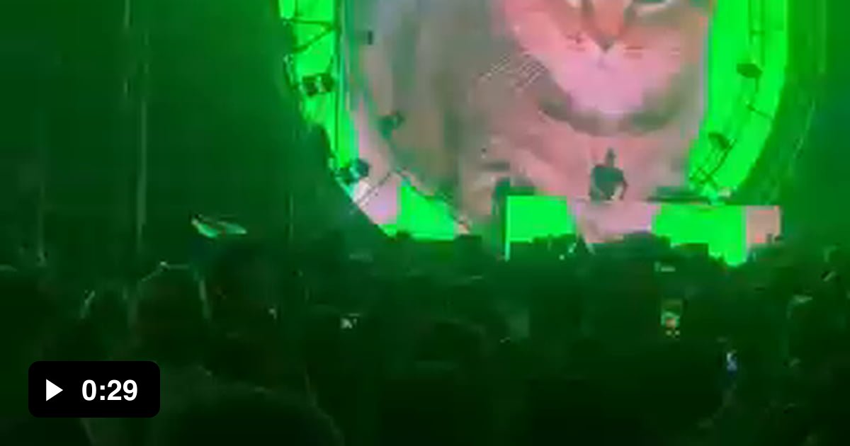 Cat Rave - 9GAG
